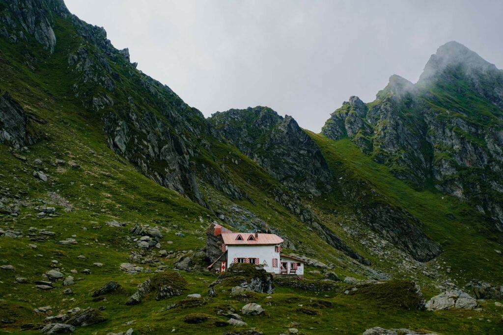 Creating Your Ideal Off-Grid Homestead: Essential Tips and Insights ...